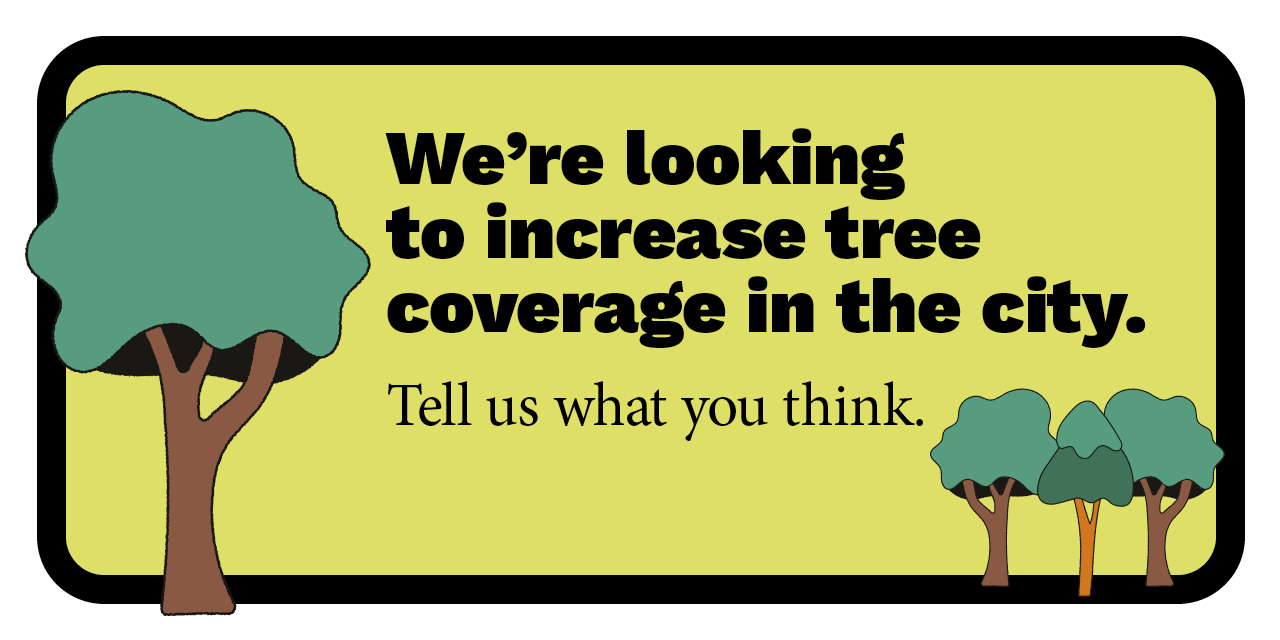 Street Tree Planting | Our Adelaide